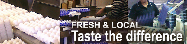 Golden Fresh Egg Ranch | Fresh and Local Egg's Daily Fontana California